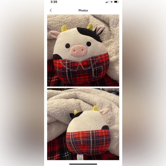 Squishmallows | Toys | Squishmallow Connor The Cow | Poshmark